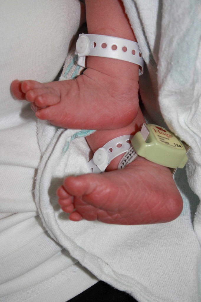 Hefner And His Girls. - Dad or Alive